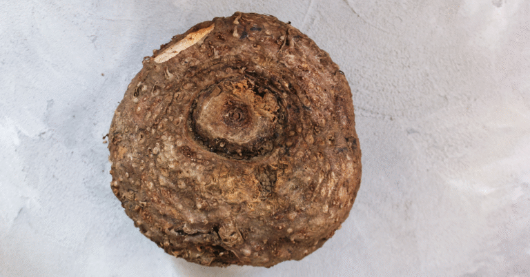 7 Powerful Elephant Yam Flower Benefits You Didn’t Know