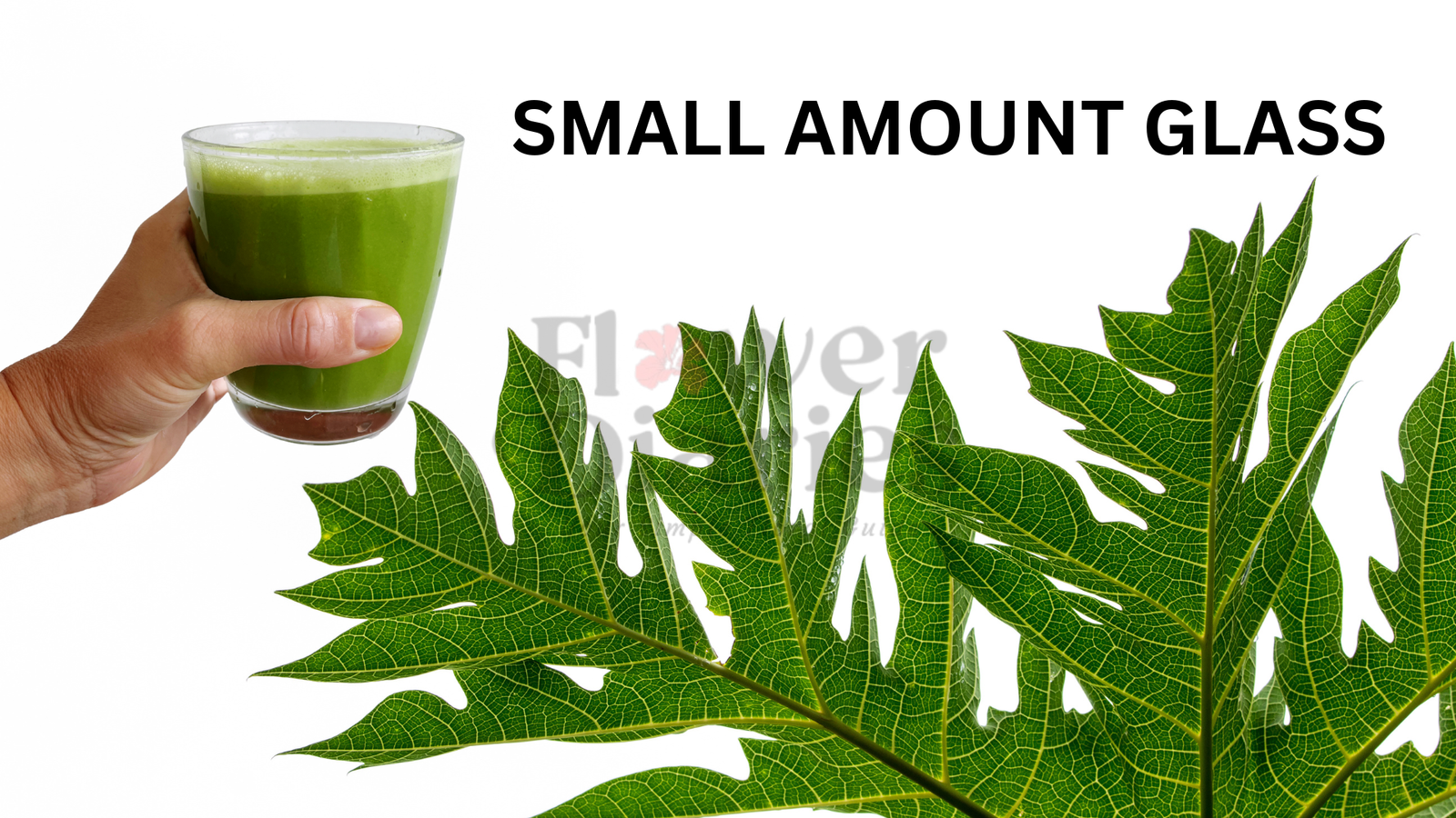 10 Powerful Papaya Flower Benefits, Tea Uses & Ayurvedic